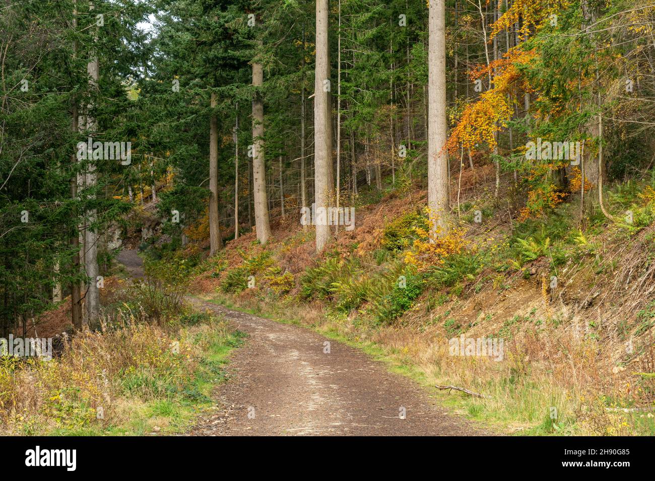 Trails footpath hi-res stock photography and images - Alamy
