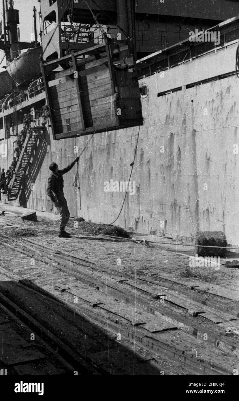 Gdynia, 1947-02. W ramach pomocy UNRRA (United Nations Relief and ...