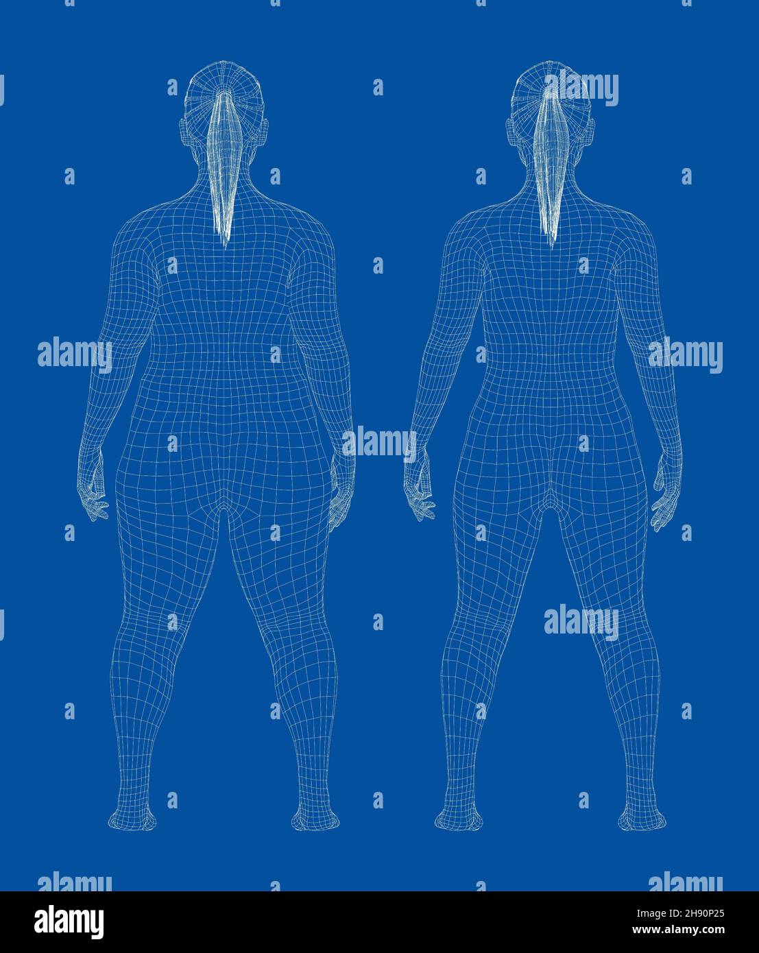 Fat and slim woman, before and after weight loss Stock Photo - Alamy