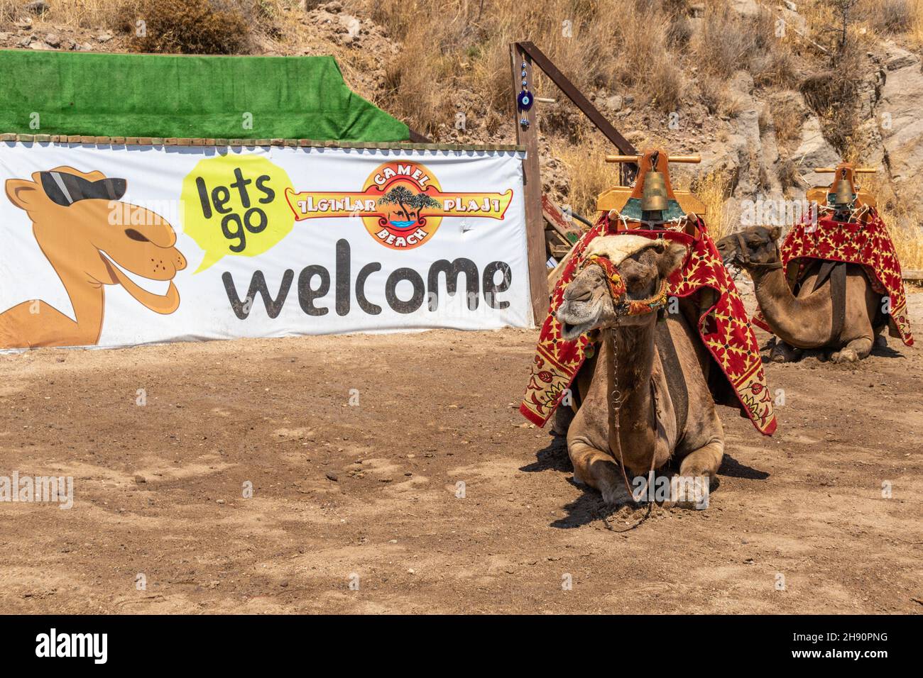 Bells beach sign hi-res stock photography and images - Alamy