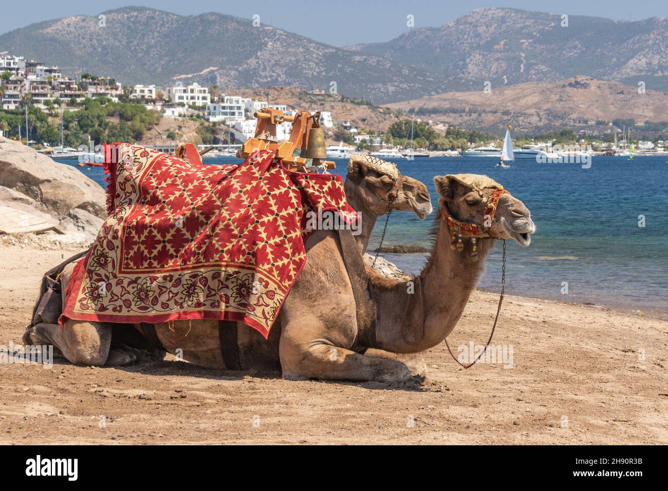 Seamountains hi-res stock photography and images - Alamy