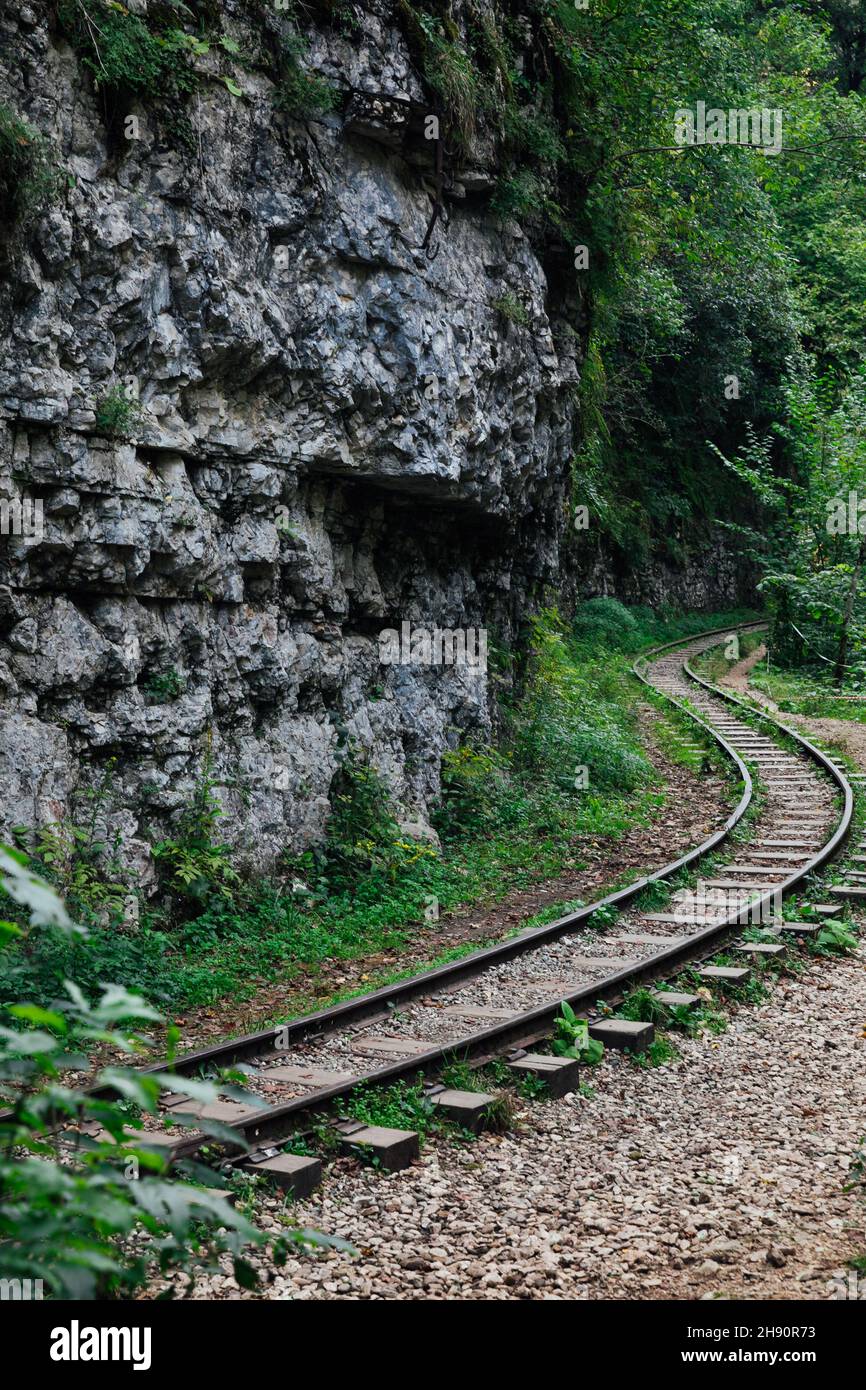 old railway in a green forest gorge Stock Photo - Alamy