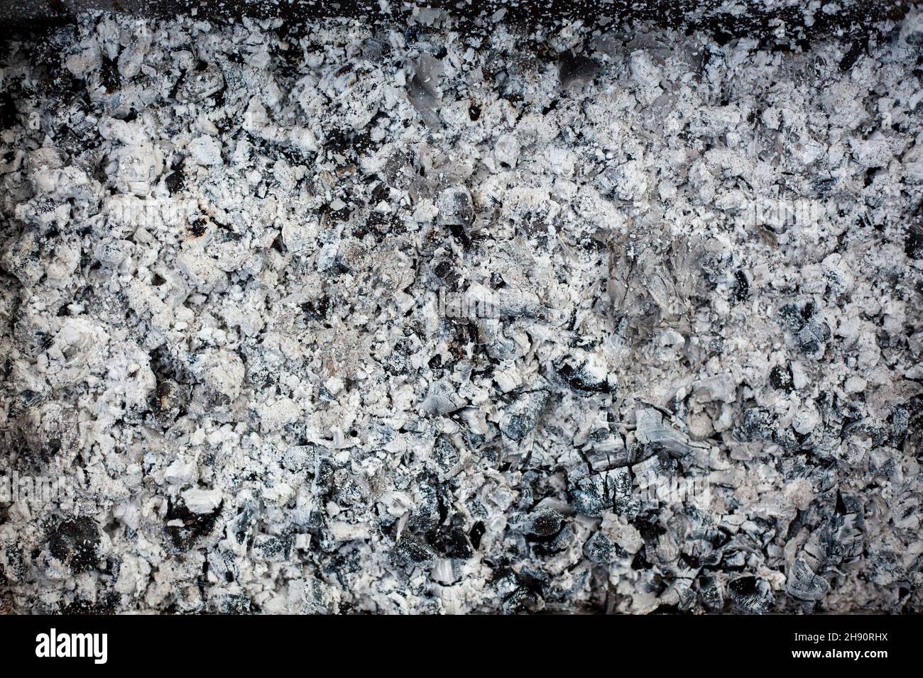 Ashes texture background. Wood ash in fireplace. Defocused charcoal cinder textured. Blurred ...
