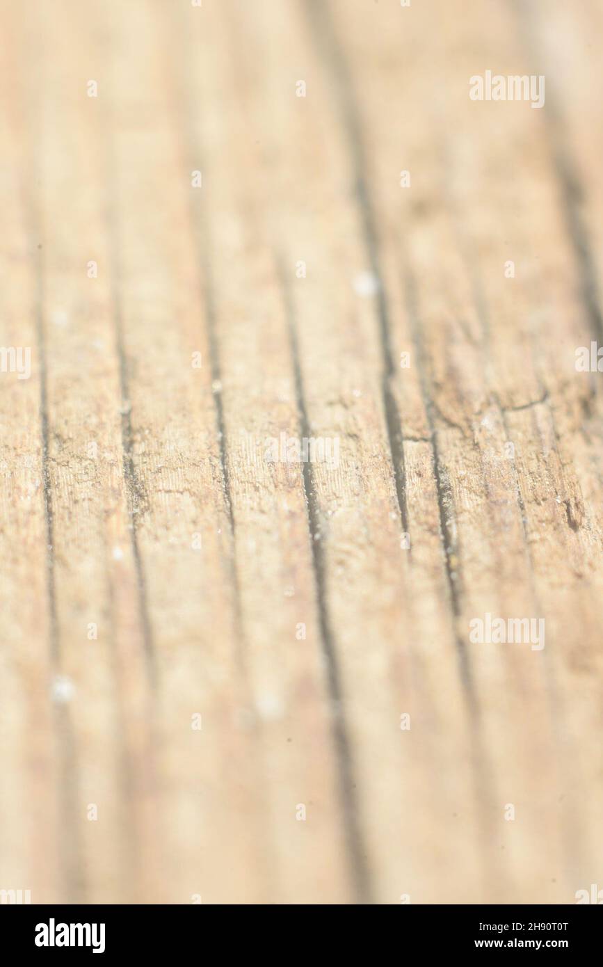 Timber vintage hi-res stock photography and images - Alamy
