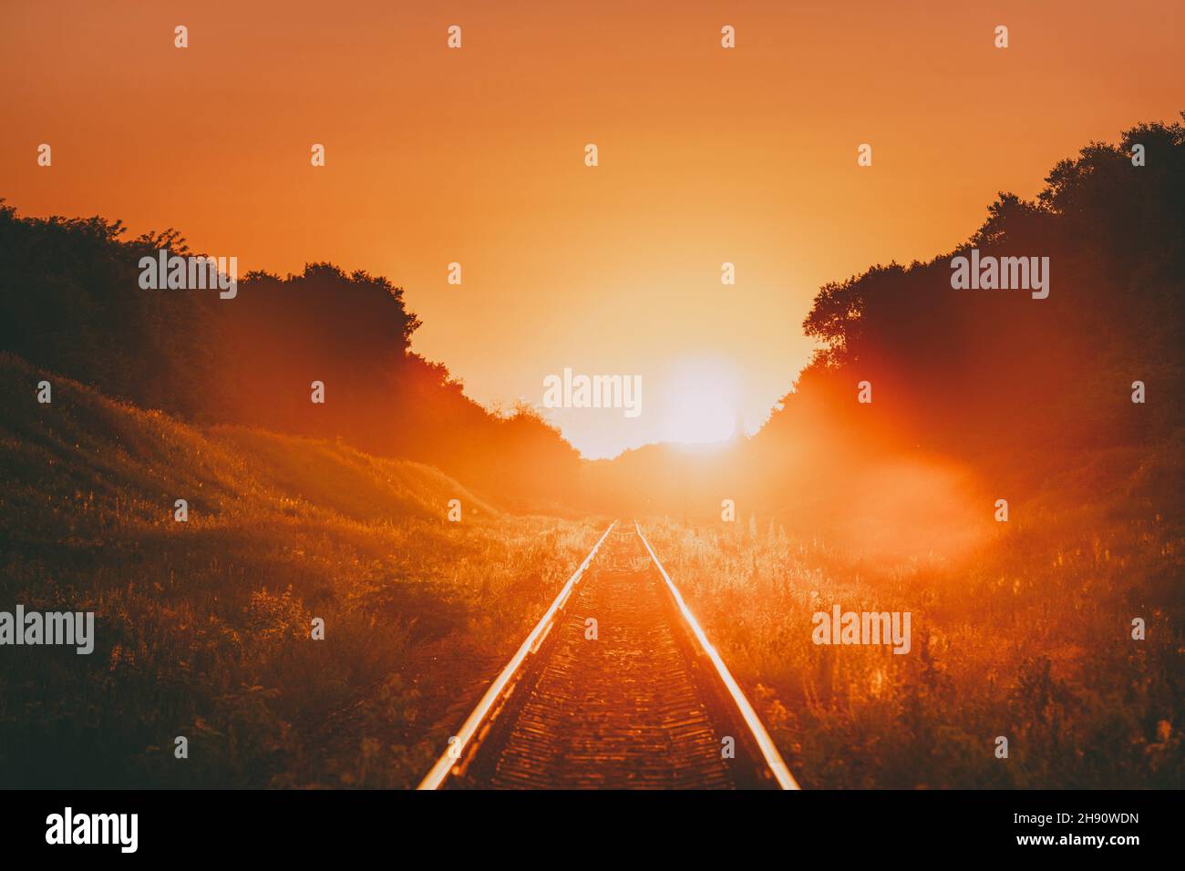 Black forest scenic train hi-res stock photography and images - Alamy