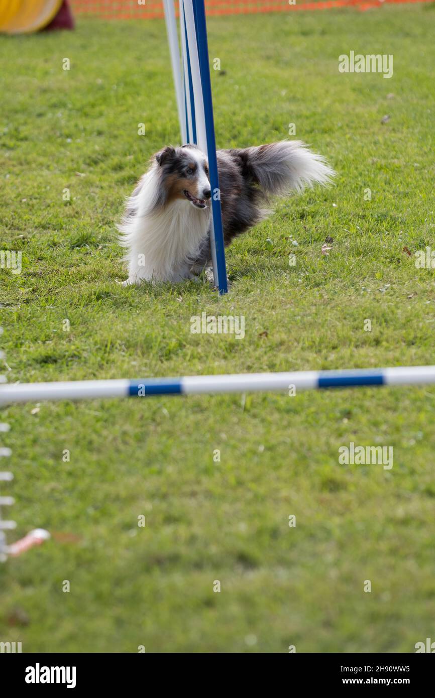 Running poles hi-res stock photography and images - Alamy