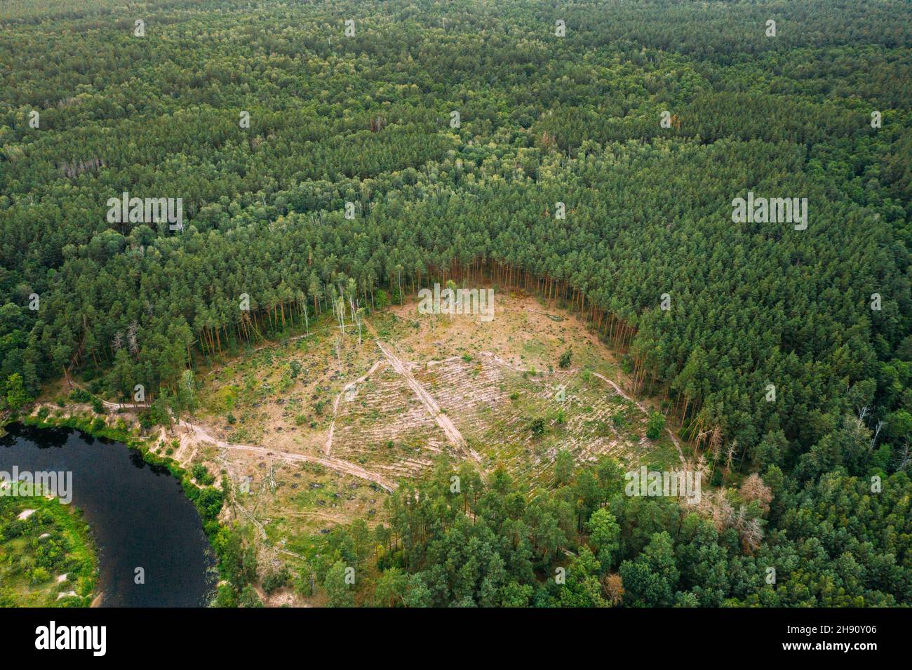 Beautiful deforestation hi-res stock photography and images - Alamy