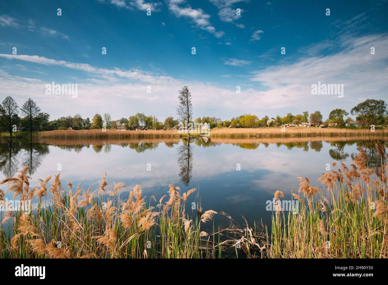 Belarusian countryside hi-res stock photography and images - Alamy