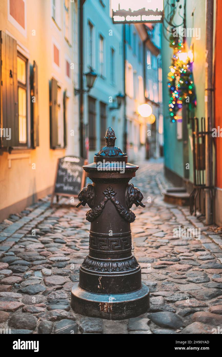Lion pile hi-res stock photography and images - Alamy