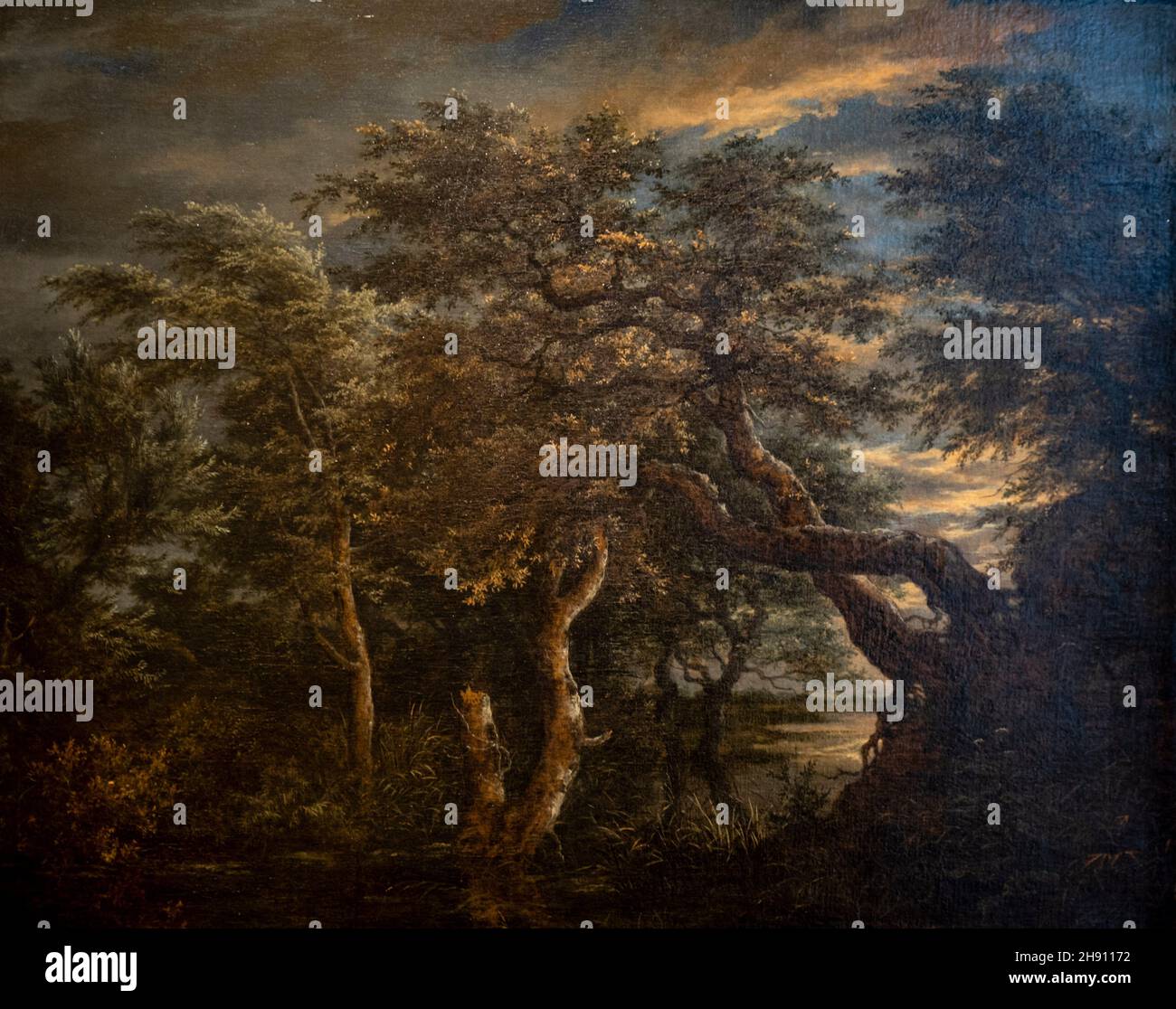 Van ruisdael jacob isaacksz hi-res stock photography and images - Alamy