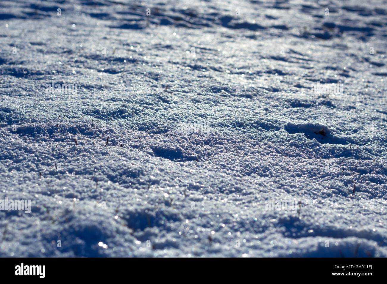 Closeup shot of snow during the daytime Stock Photo - Alamy