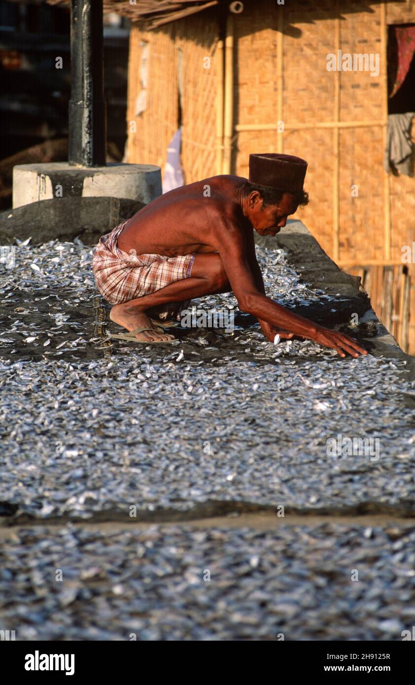 Celebes fish hi-res stock photography and images - Alamy