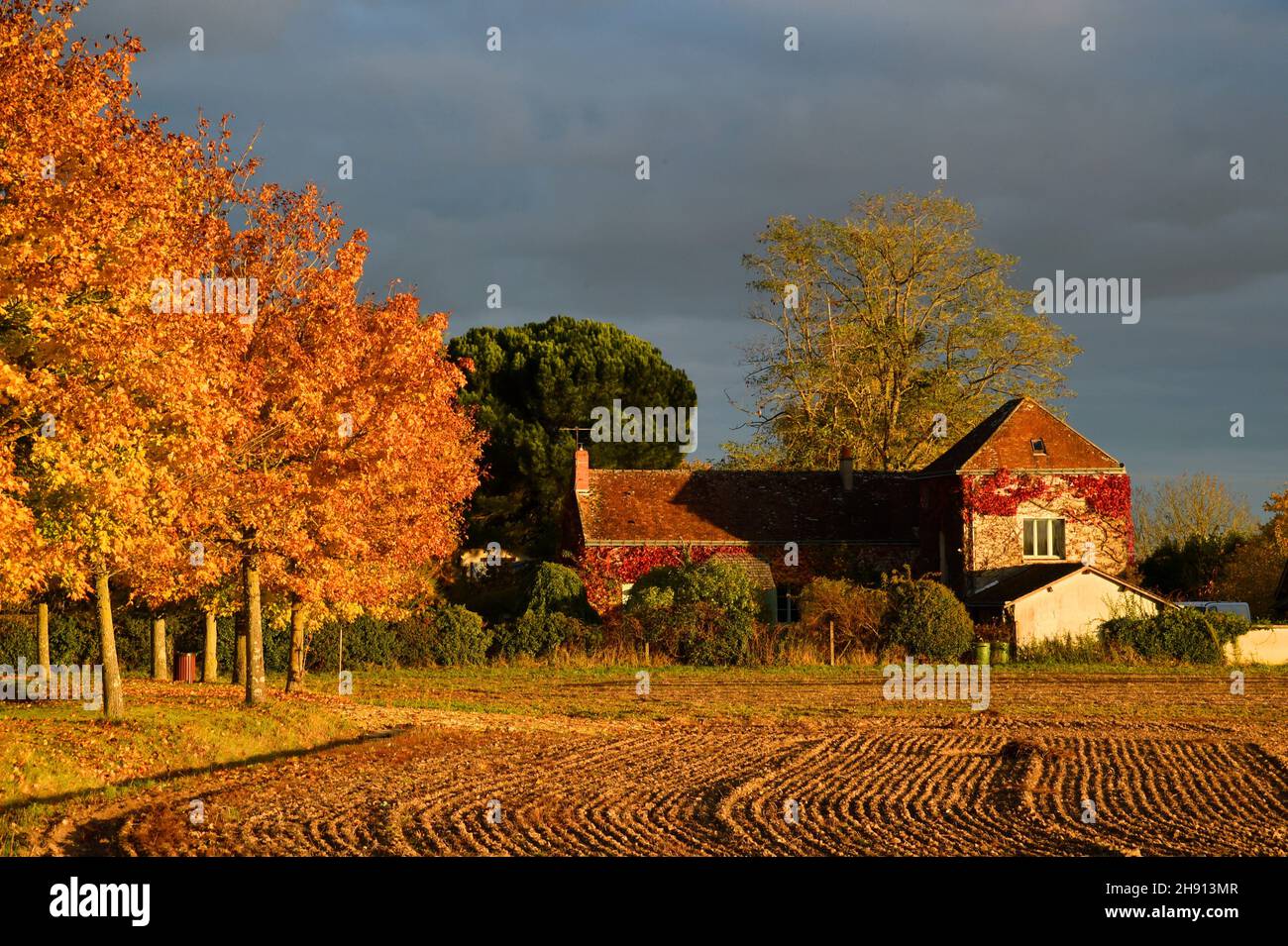 Tree landscape landscape outdoors hi-res stock photography and images ...