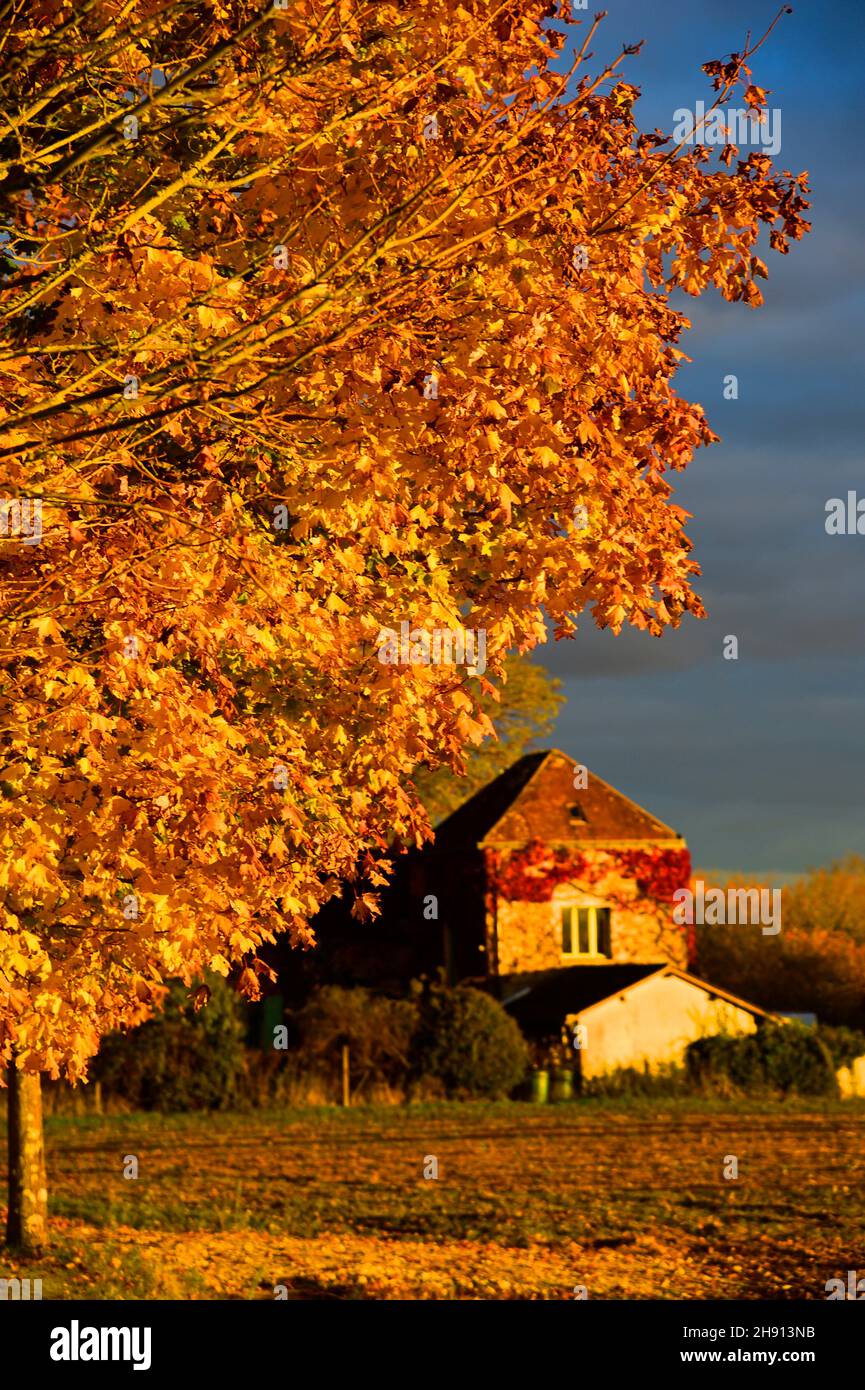 Tree landscape landscape outdoors hi-res stock photography and images ...