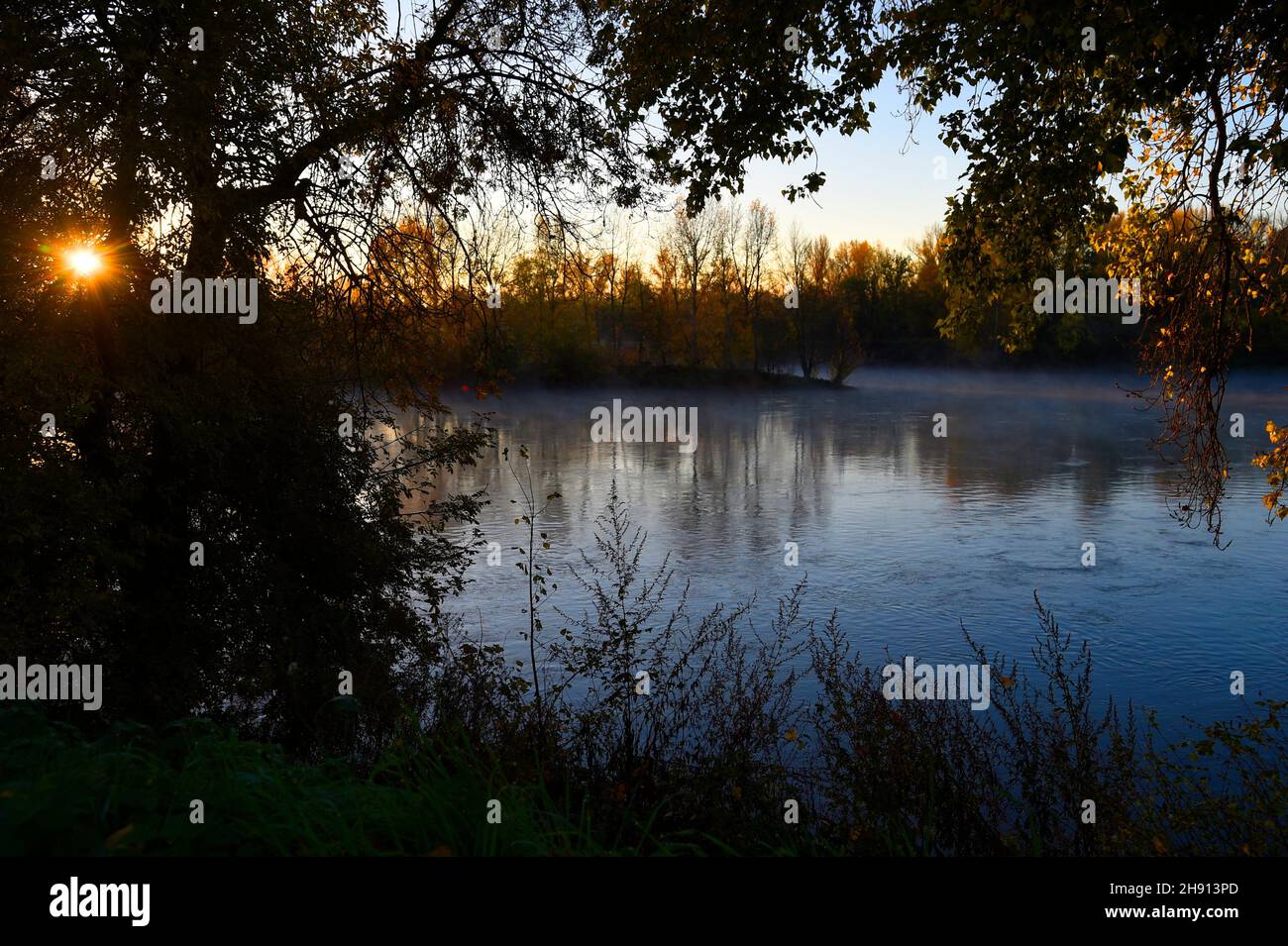 Tree light hi-res stock photography and images - Alamy