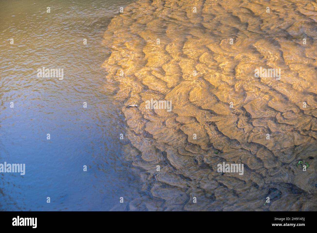 Trap sediment hi-res stock photography and images - Alamy