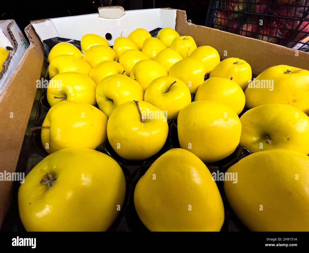 Yellow apples displayed in a cardboard box at the market Stock Photo ...
