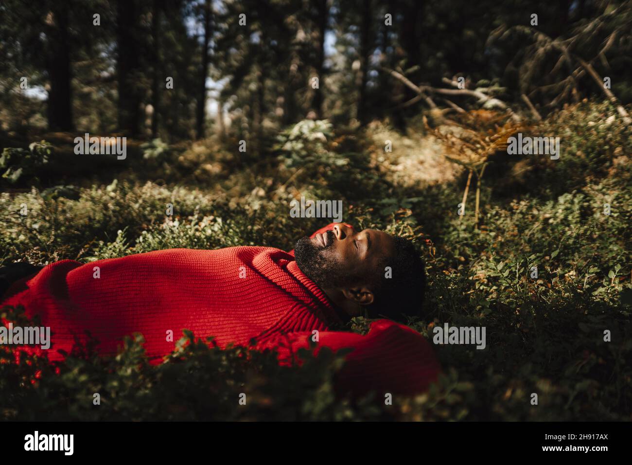 Sleeping laying down lying down hi-res stock photography and images - Alamy