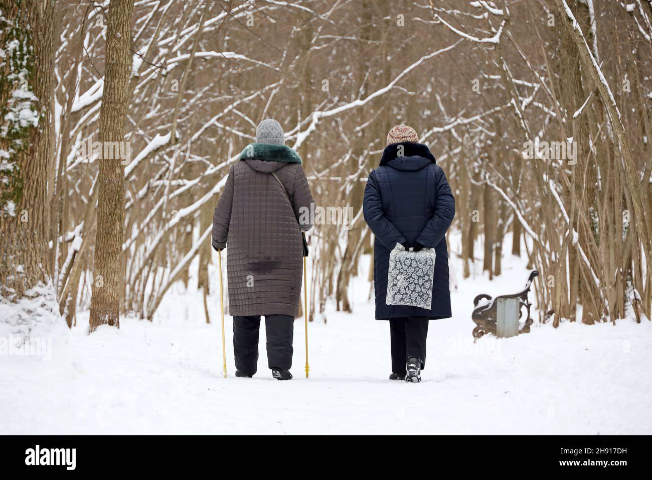 Nordic walking, healthy lifestyle. Two old people in winter park, woman ...