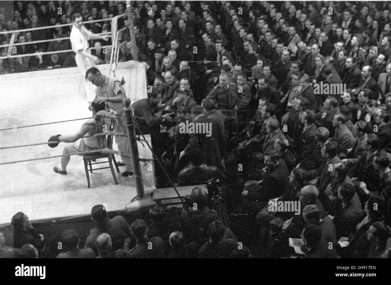 Polish boxer Black and White Stock Photos & Images - Alamy