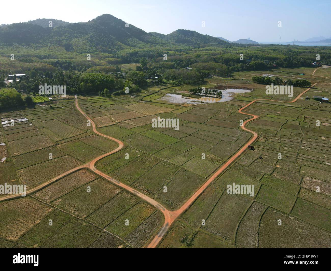 Padi aerial hi-res stock photography and images - Alamy