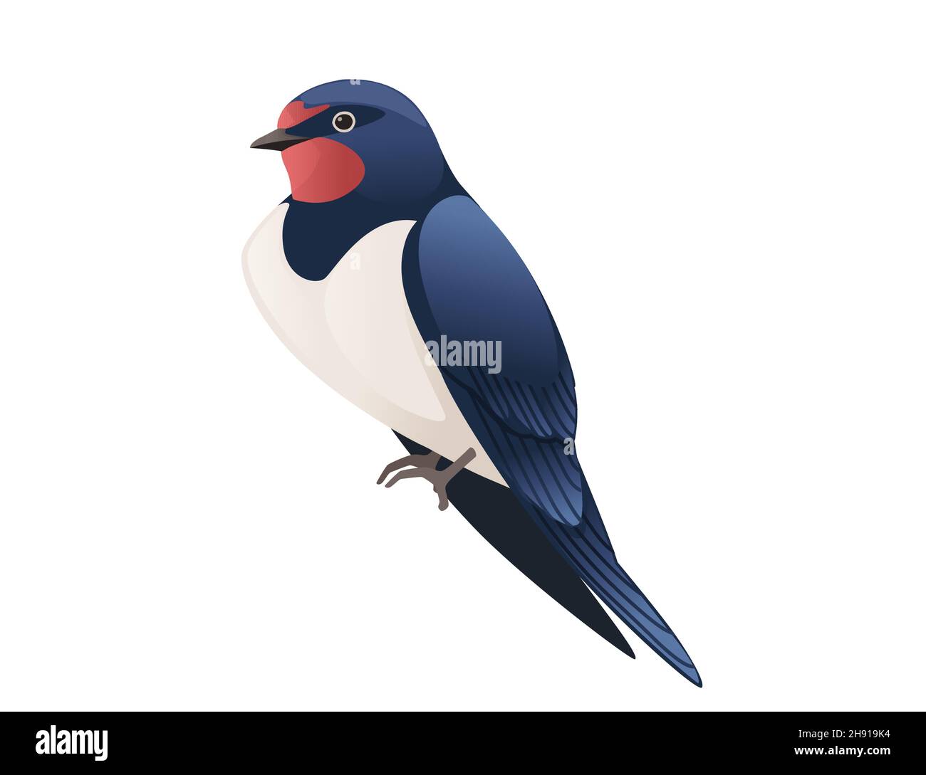 Cute swallow sitting on white background cartoon bird animal design ...