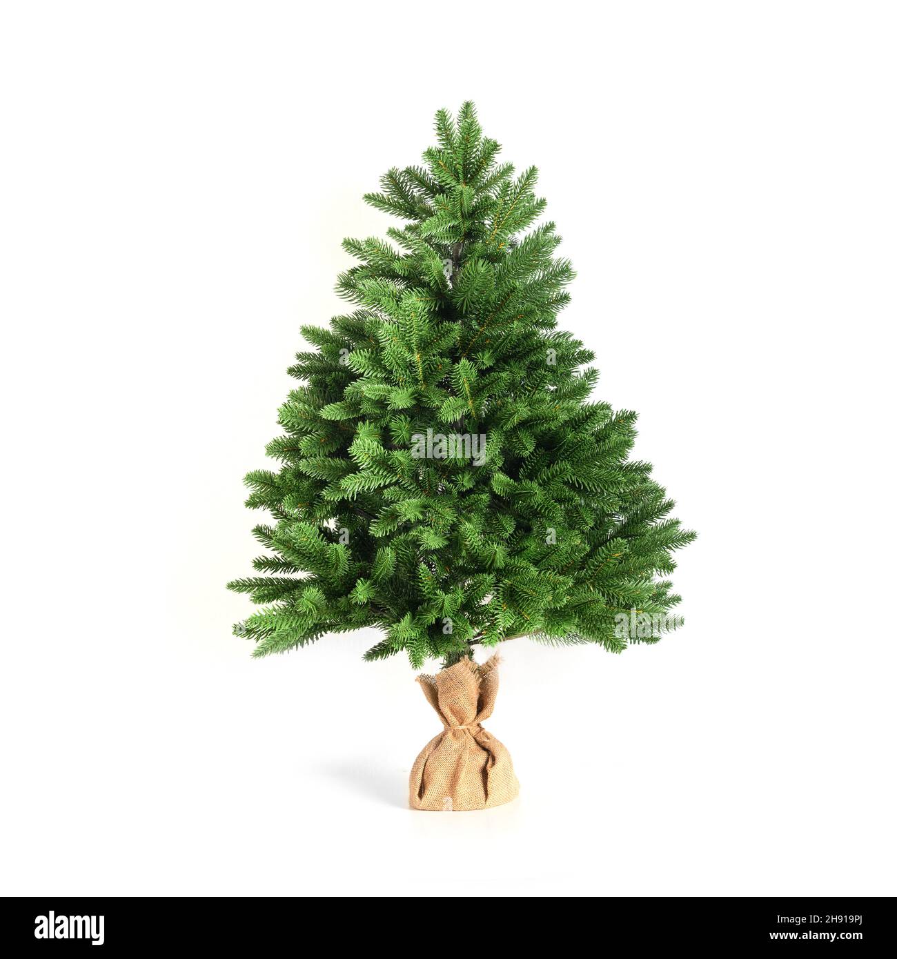 Undecorated christmas tree hi-res stock photography and images - Alamy