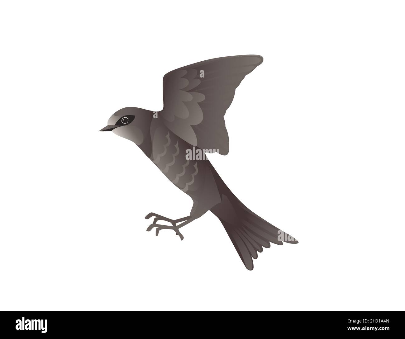 Cute black swift flying on white background cartoon bird animal design ...