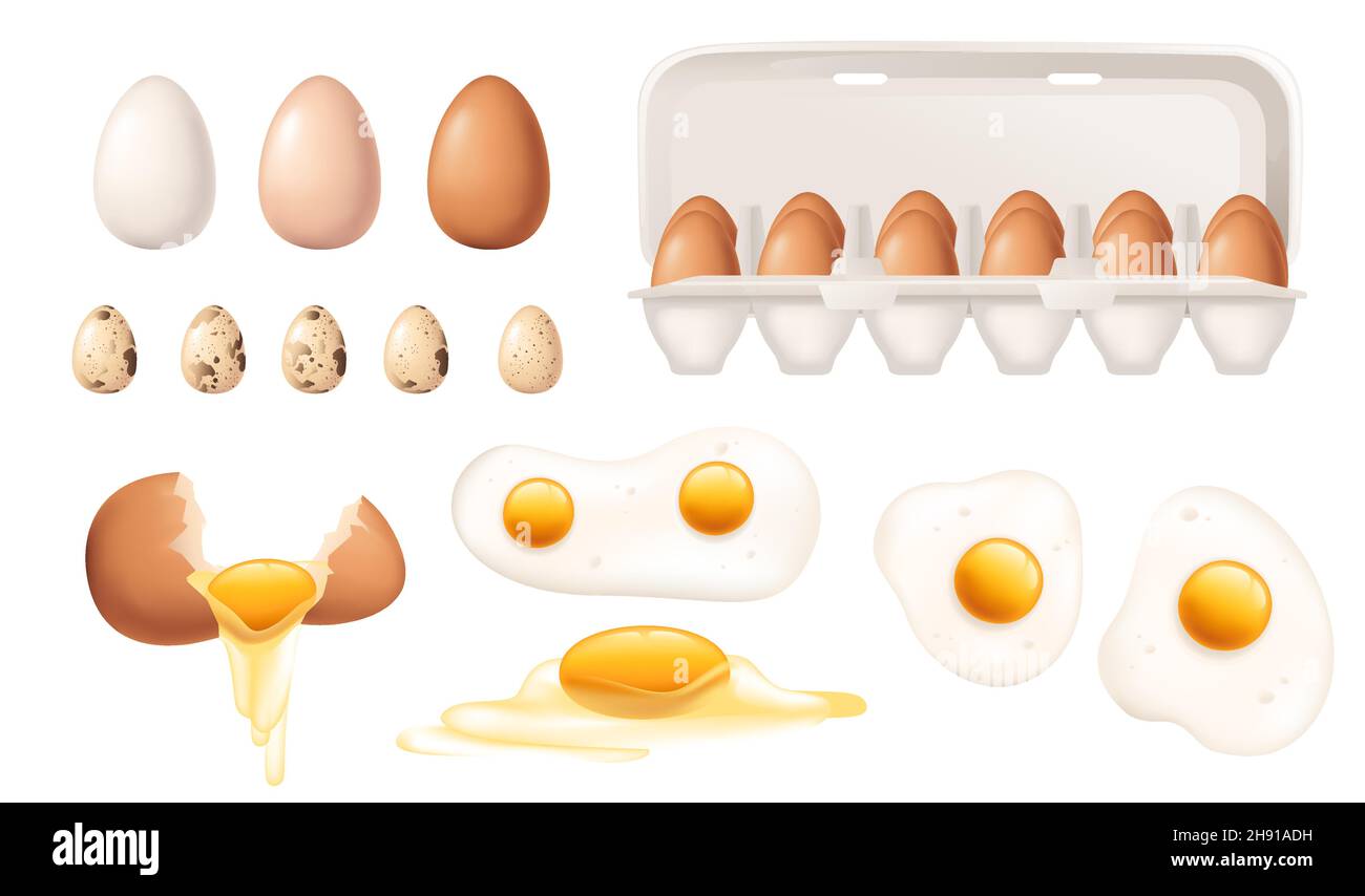 Big set of different eggs vector illustration on white background Stock ...