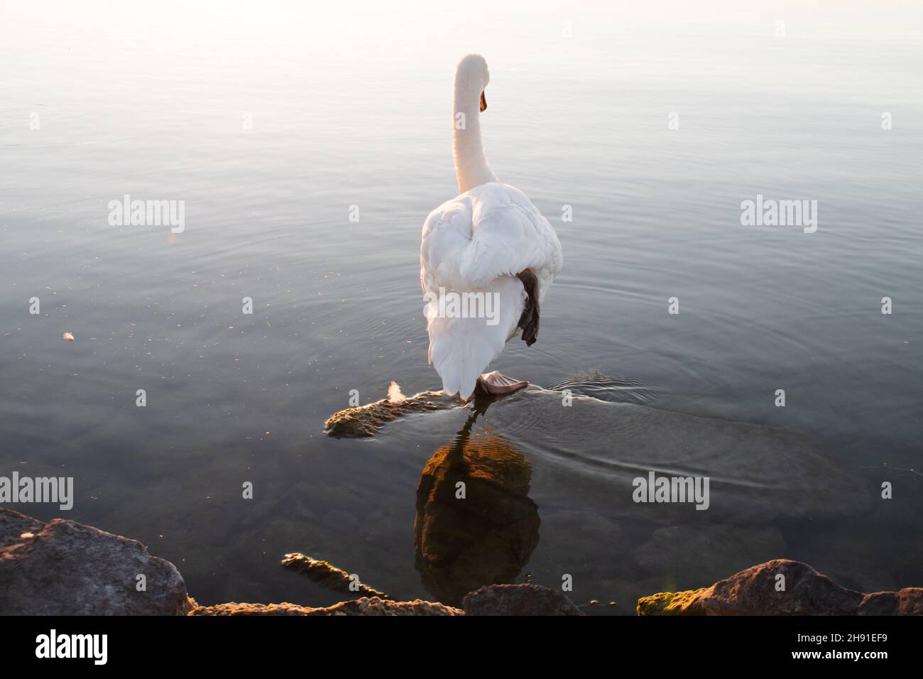 Toosie slide hi-res stock photography and images - Alamy
