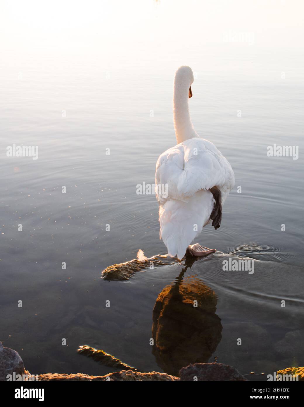 Toosie slide hi-res stock photography and images - Alamy