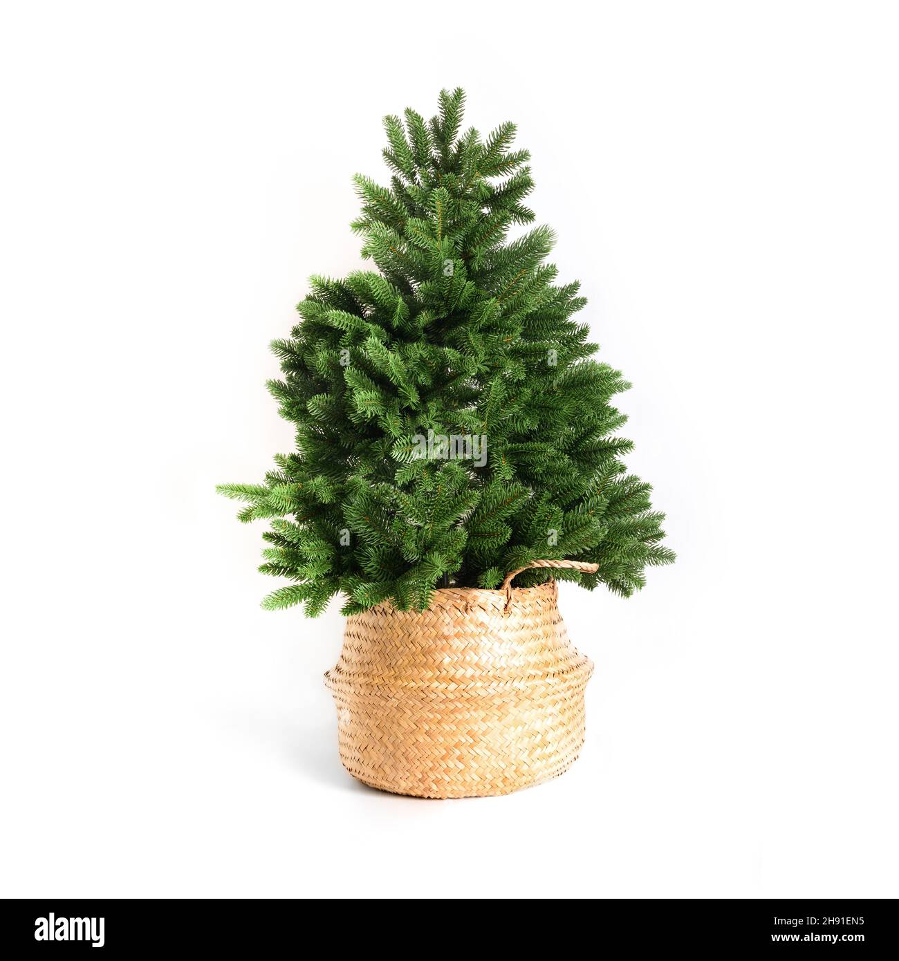 Artificial Christmas tree without decor on stand wrapped in burlap ...