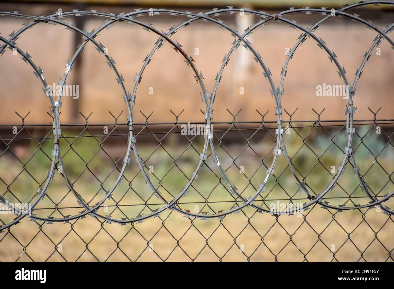 Barbed razor wire in Pretoria South Africa used as steel fencing ...