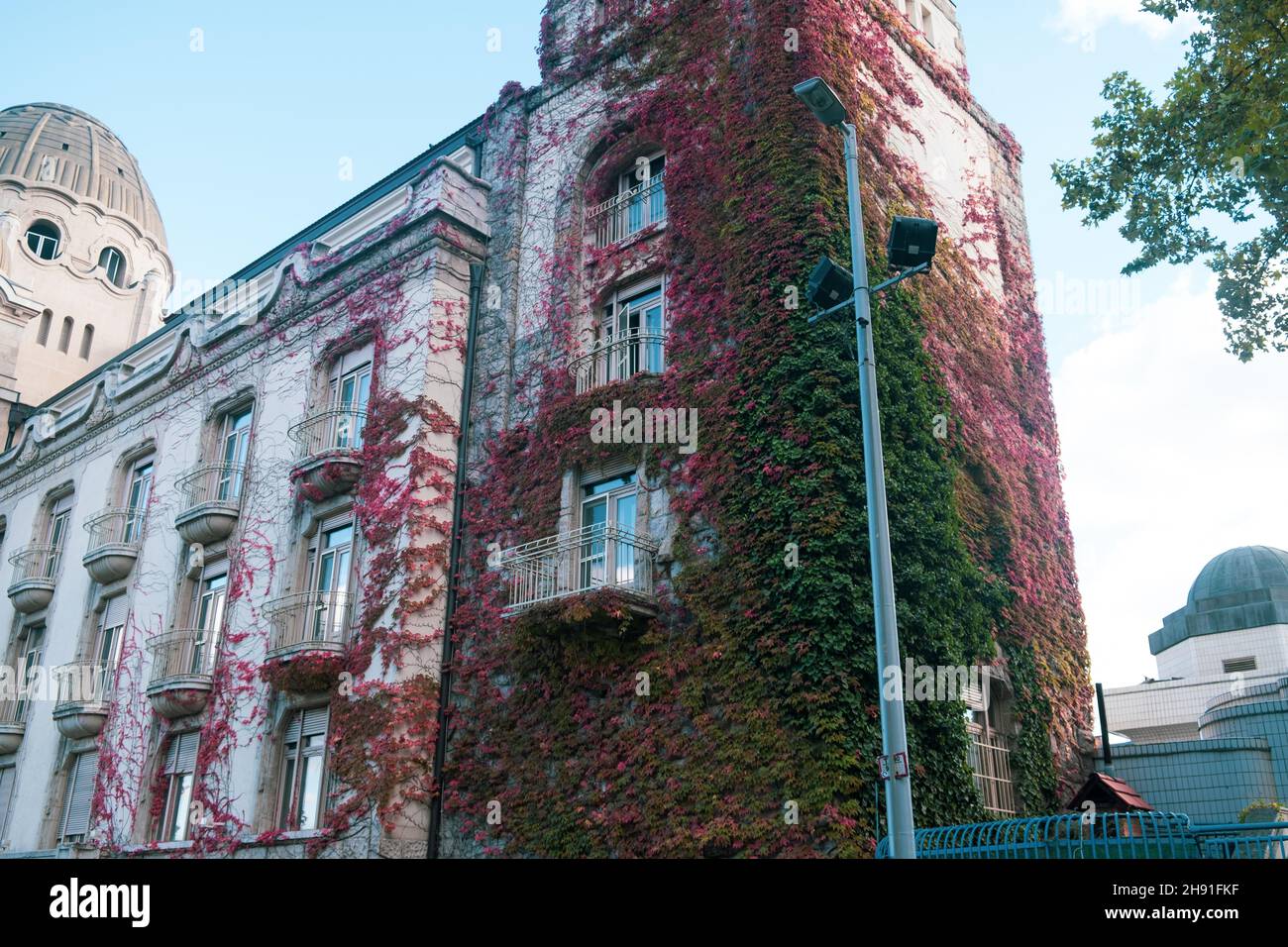 Beautiful historic European building covered with green and red ...