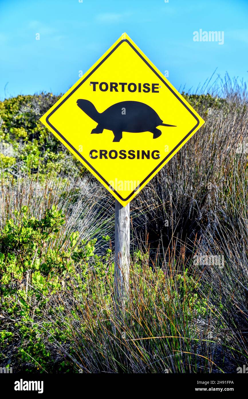 A tortoise crossing sign near the Indian Ocean seen from the Oyster ...
