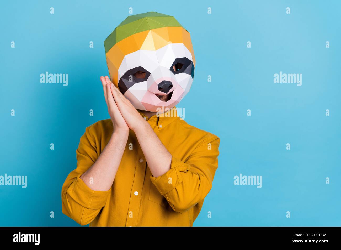 Photo of adorable funny sloth man hands cheeks relax chill free time ...