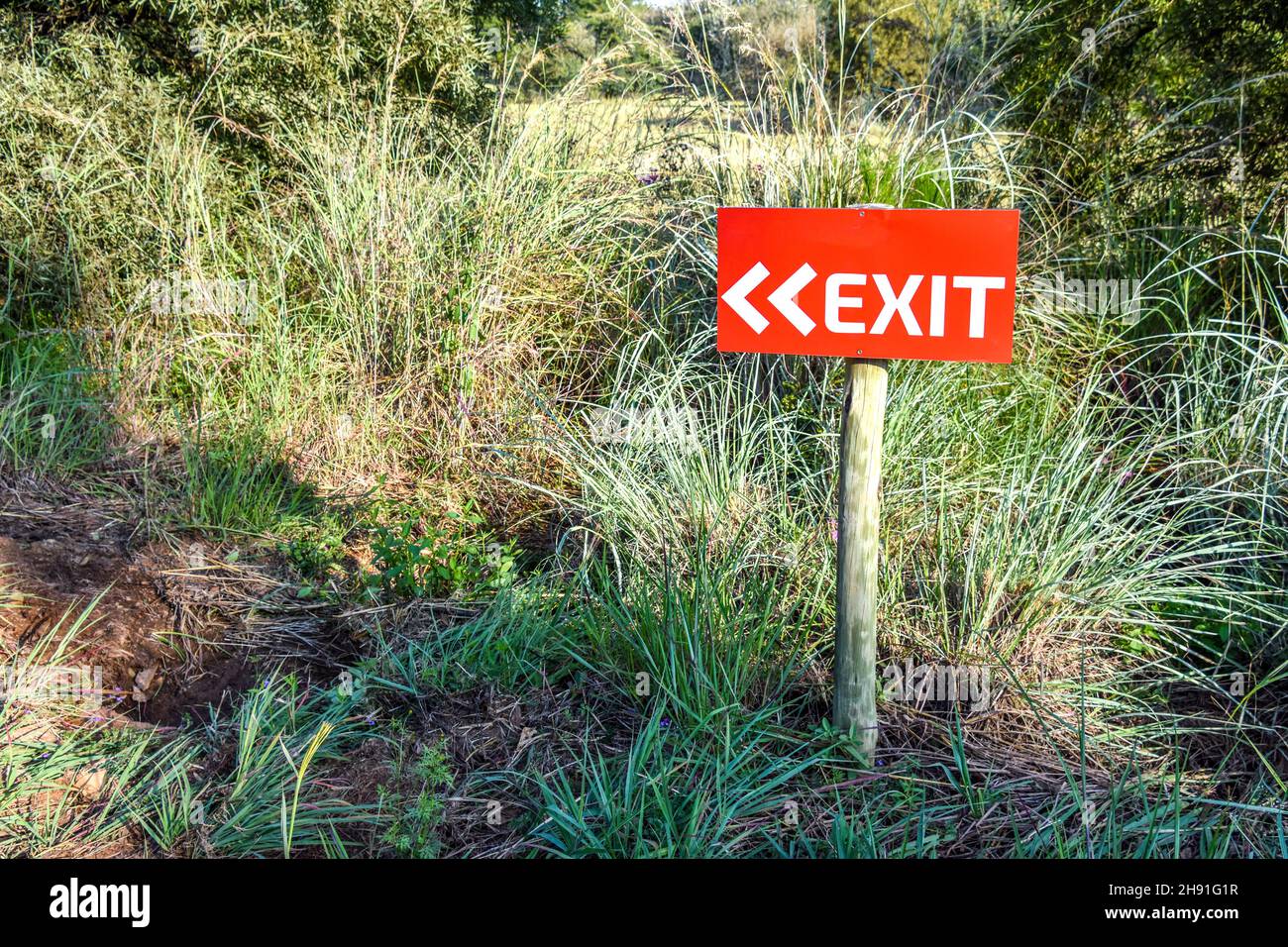 A white and red exit sign pointing to the left in tall grass near trees ...