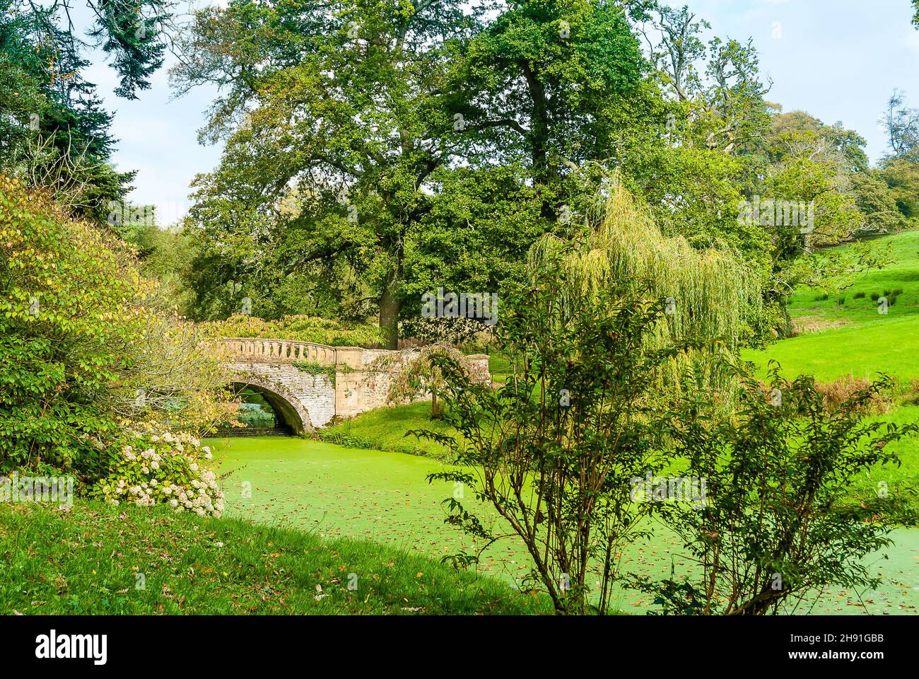 Autumn in Minterne Gardens. A Dorset country garden Stock Photo - Alamy
