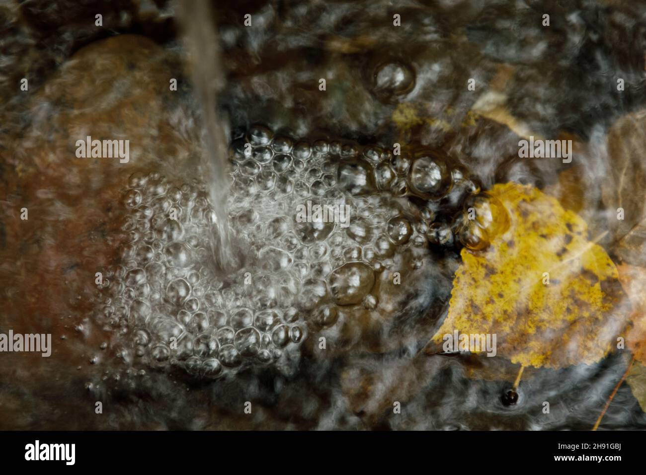 water running into a leaf-strewn trough Stock Photo - Alamy