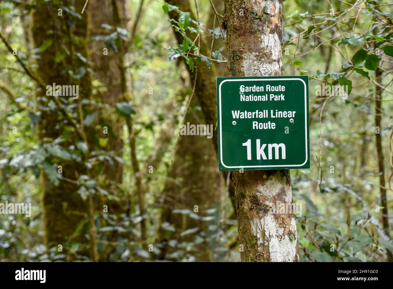 A sign to the waterfall in the forest on the popular Jubilee Creek ...