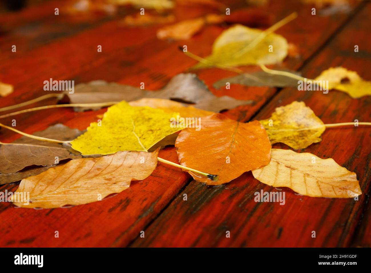 fall leaves on a red picnic table Stock Photo - Alamy