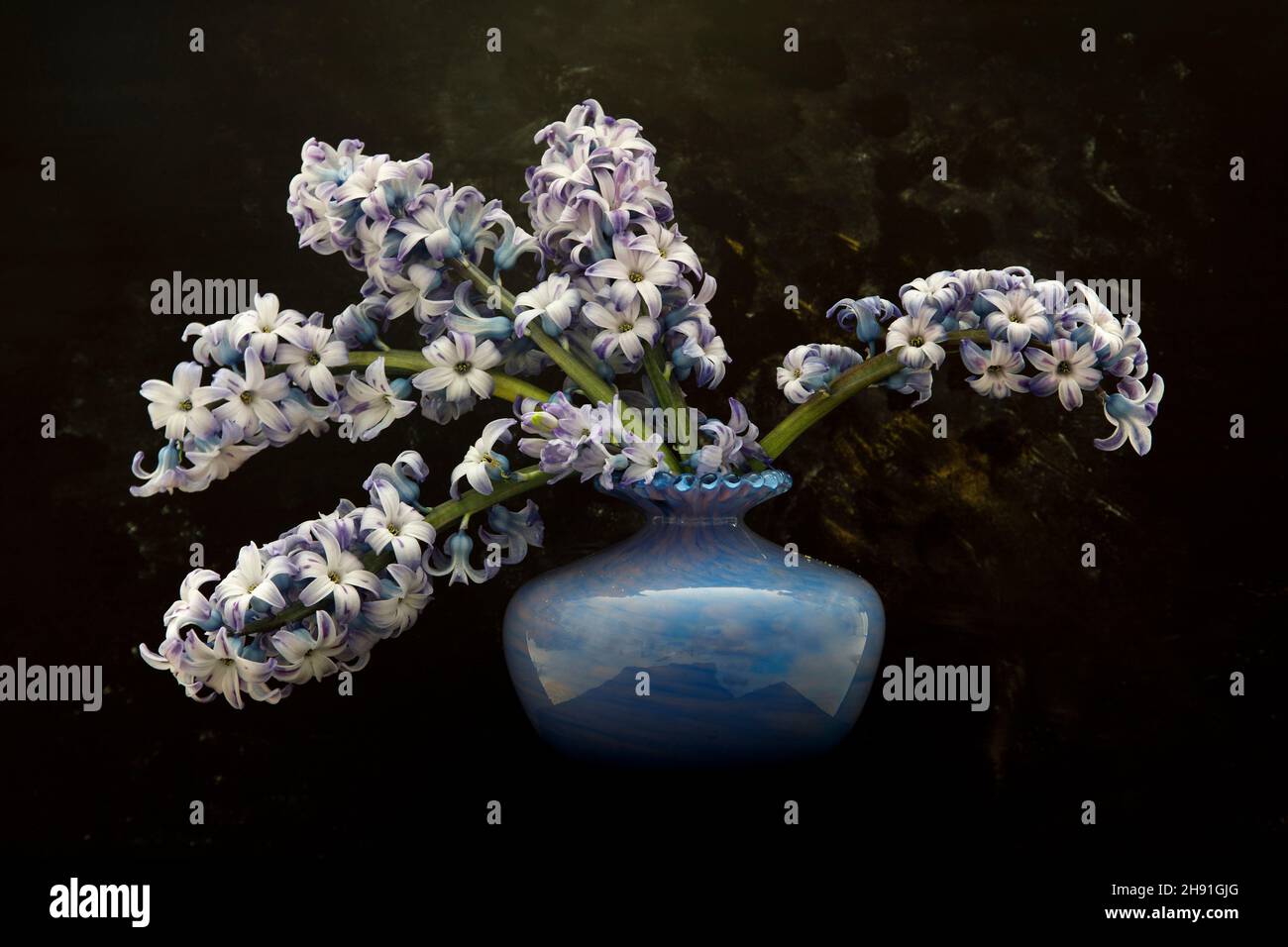 Vase of hyacinths hi-res stock photography and images - Alamy