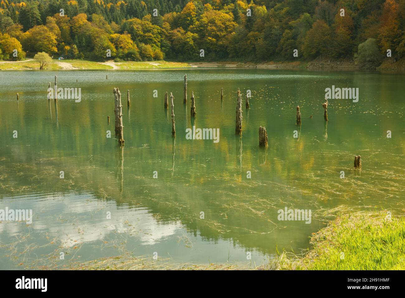 Leech lake hi-res stock photography and images - Alamy