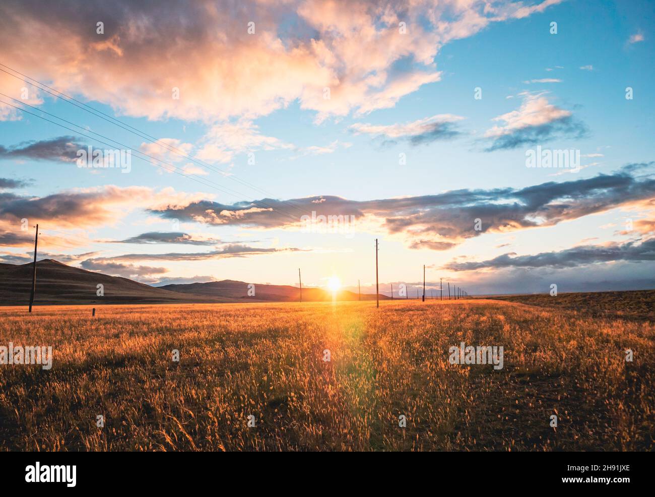 Stunning rural landscape. Sunset over the golden wheat field. Blue sky ...