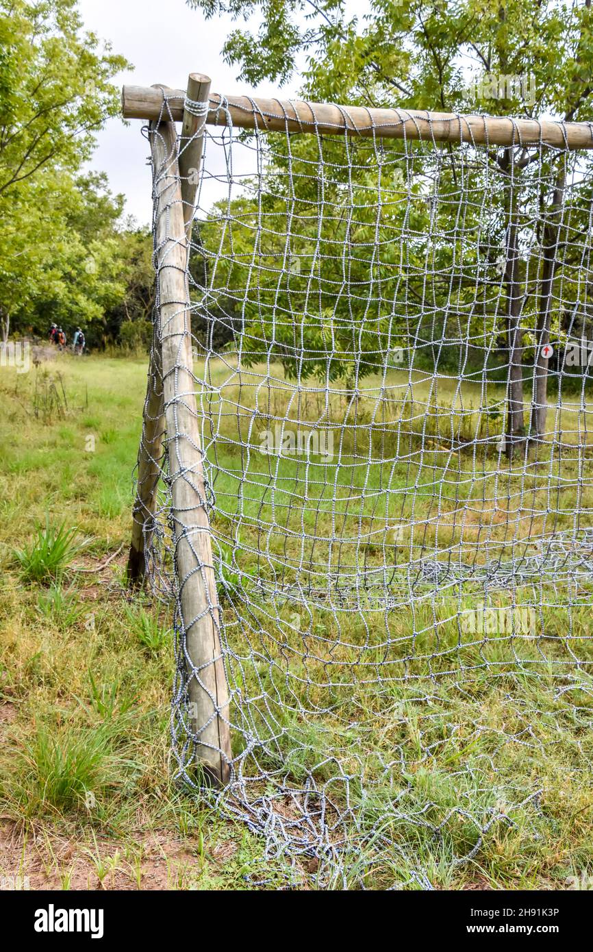 Army physical fitness test hi-res stock photography and images - Alamy