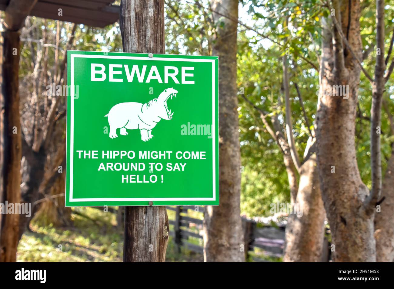 A green sign alerting people saying Be aware the Hippo may come around ...