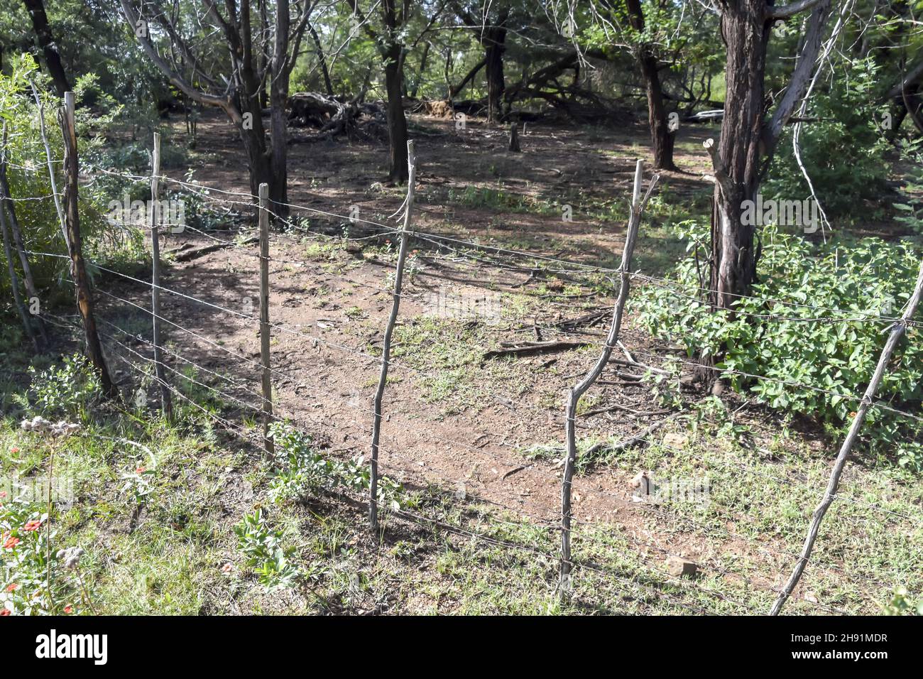 An improvised fence made of wood and barbed wire on a farm in Eastern ...