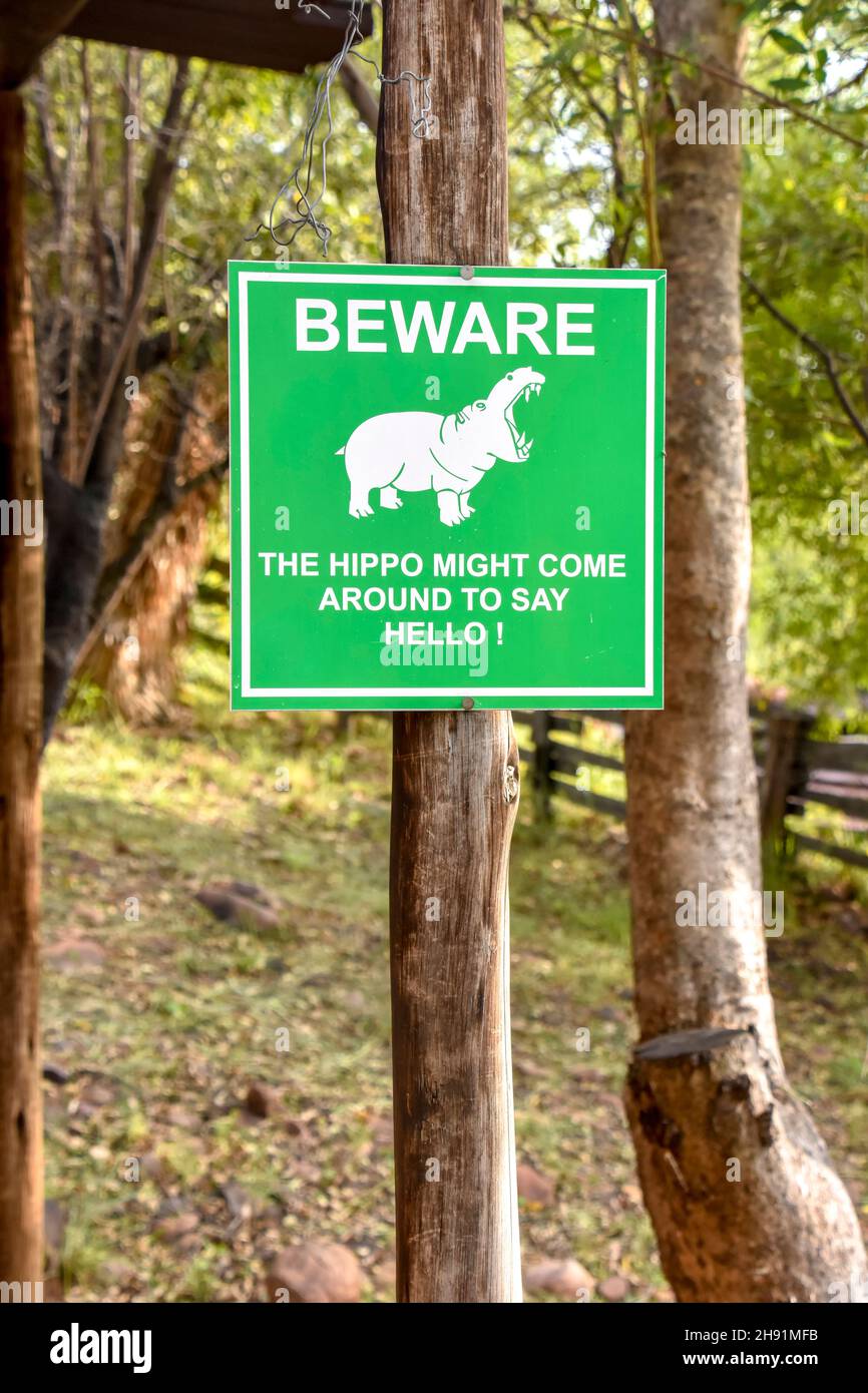 A green sign alerting people saying Be aware the Hippo may come around ...