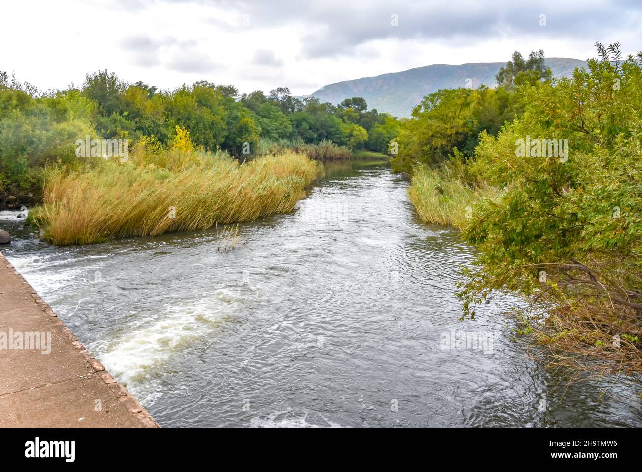 A view from a concrete bridge near the Wilge River in the vicinity of ...