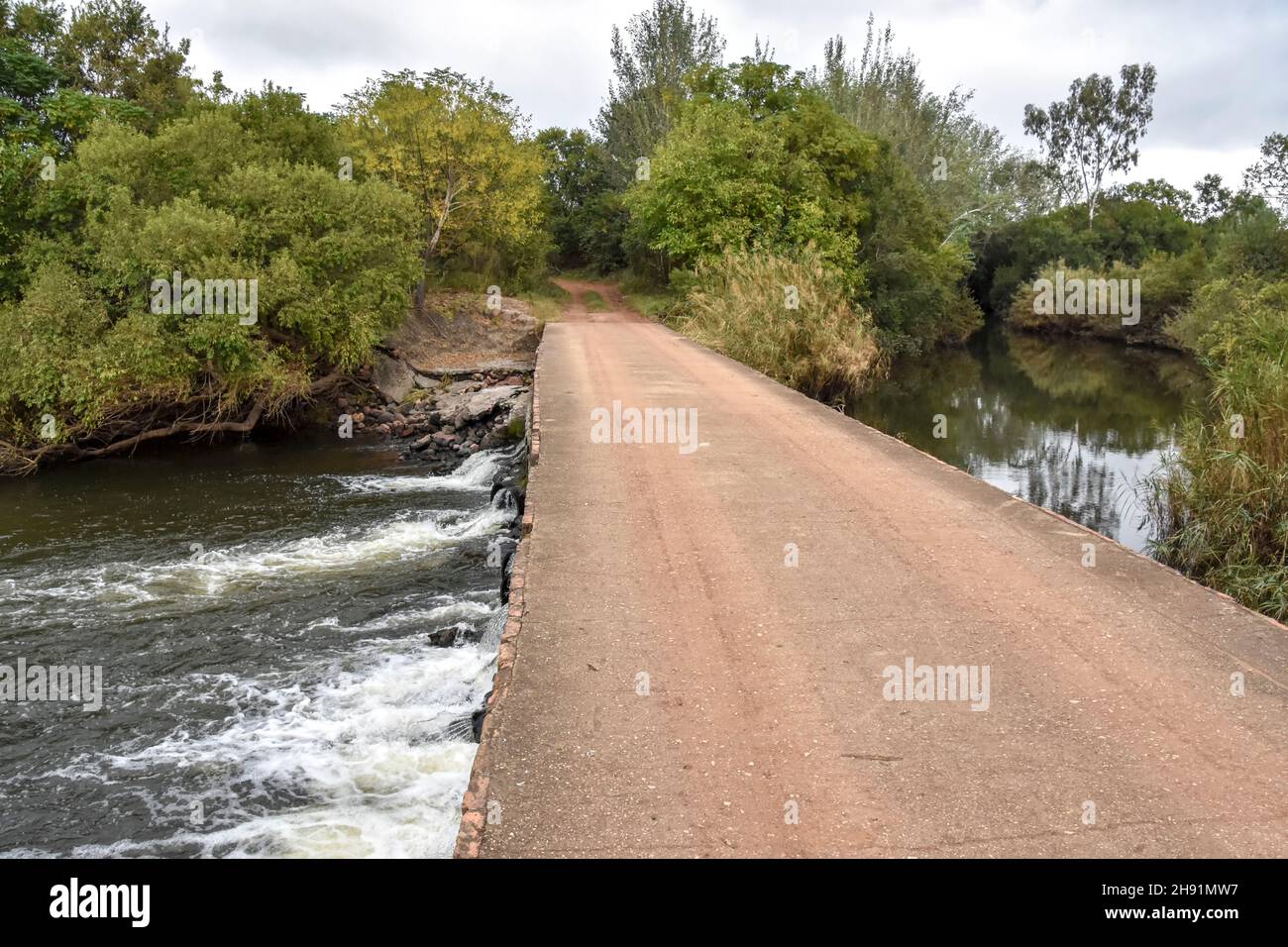A view from a concrete bridge near the Wilge River in the vicinity of ...